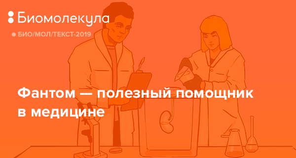 Фантом — полезный помощник в медицине