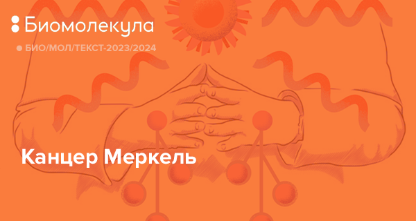 Канцер Меркель